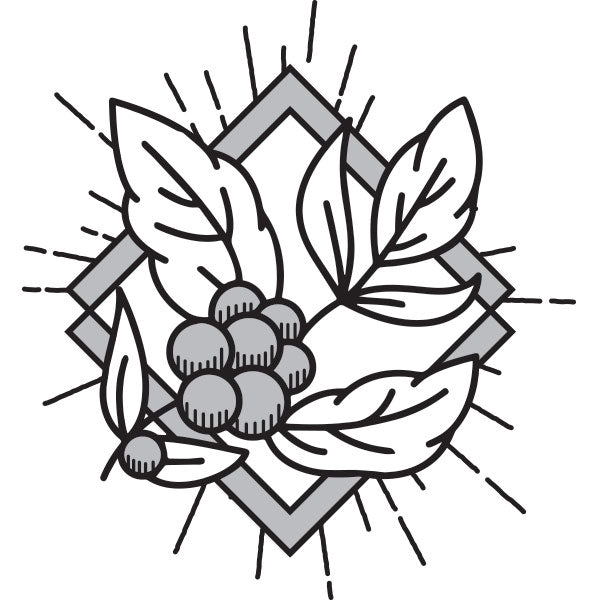 Marea Coffee | Better tasting coffee delivered to your door